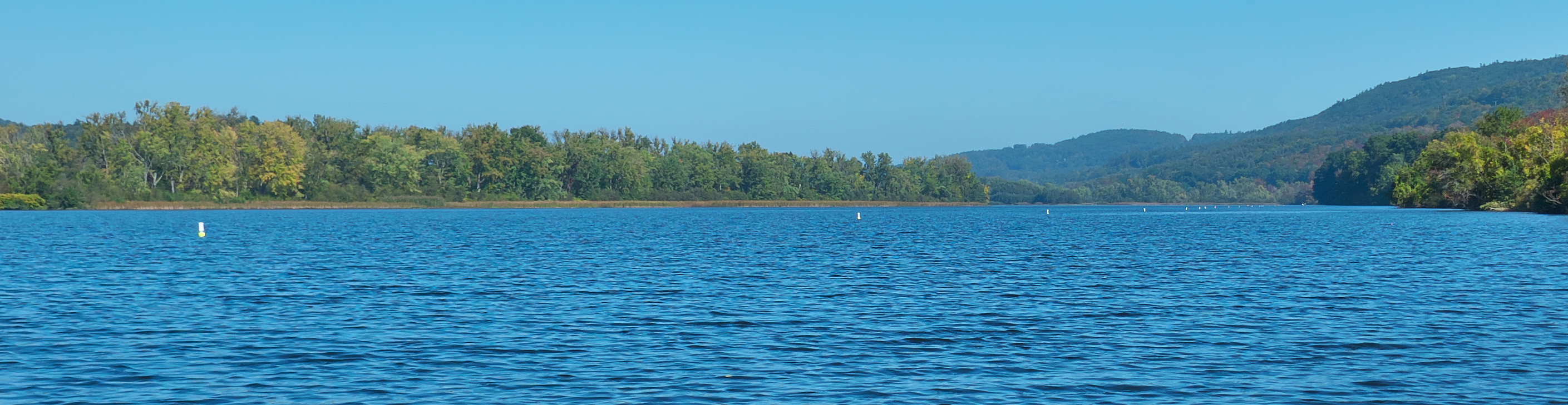 Regatta layout – PUTNEY ROWING CLUB